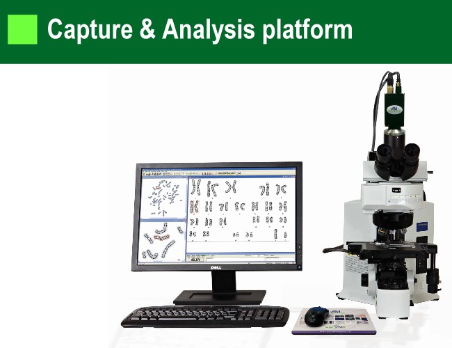 ASI Chromosome and Pathology Section Analysis System--MAJOR INSTRUMENTS ...
